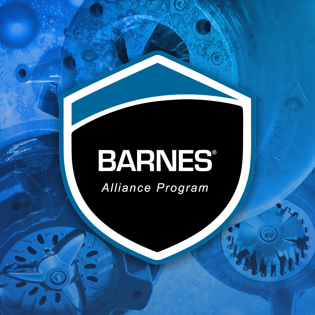 Barnes Alliance Program
